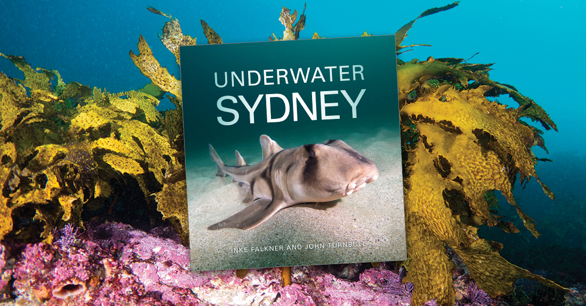 Underwater Sydney, Inke Falkner, John Turnbull, 9781486311187
