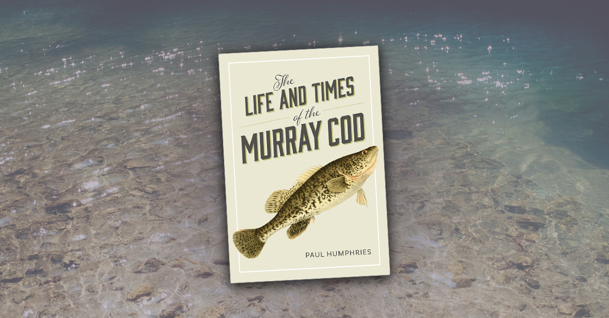 The Life and Times of the Murray Cod, Paul Humphries, 9781486312320
