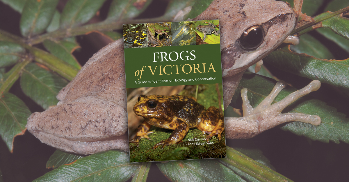 Frogs of Victoria, Nick Clemann, Michael Swan, 9781486313815