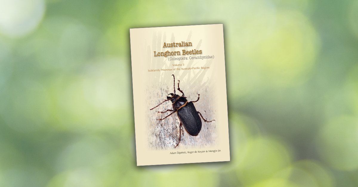 Australian Longhorn Beetles (Coleoptera: Cerambycidae) Volume 3, Adam ...