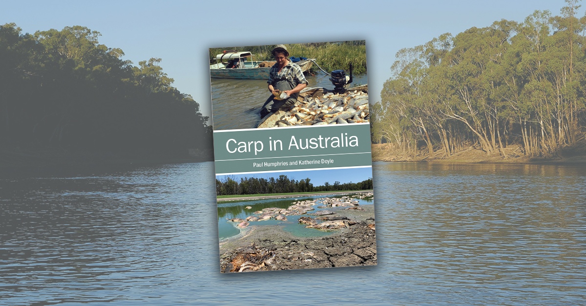 Carp in Australia, Paul Humphries, Katherine Doyle, 9781486317738