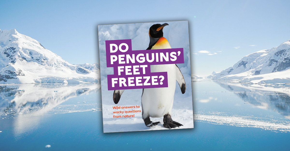 Do Penguins' Feet Freeze?, The Natural History Museum, 9781486317820