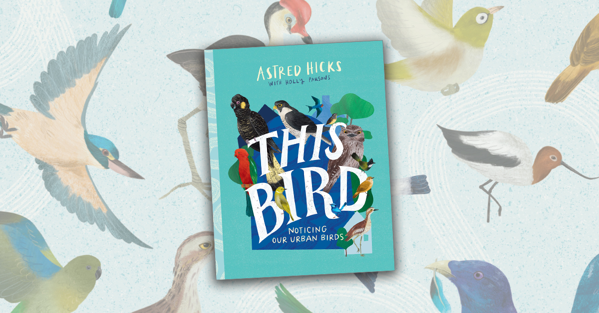 This Bird, Astred Hicks, Holly Parsons, 9781486318452